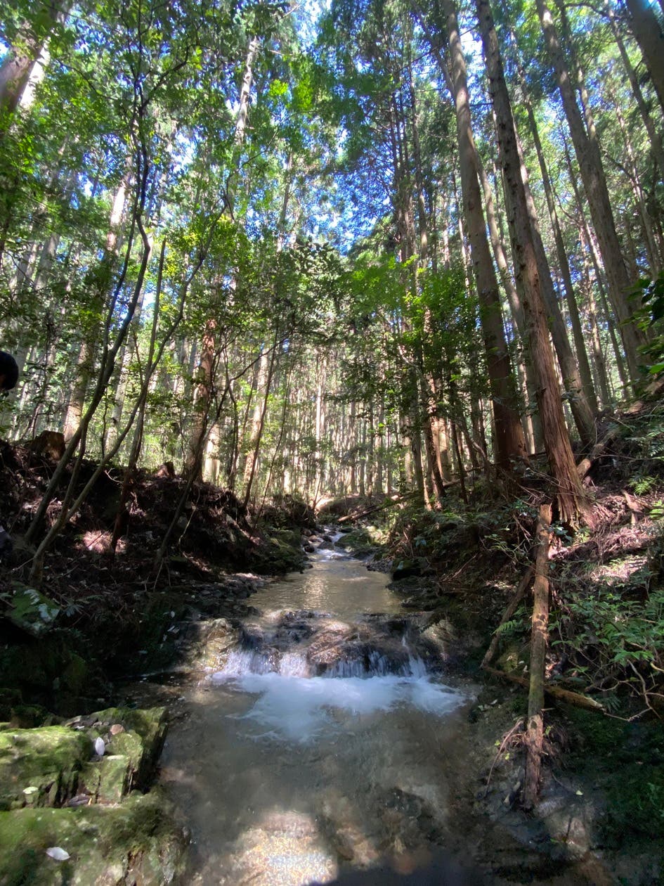 名古屋から１時間　《森の中のレンタルスペース》　の写真3