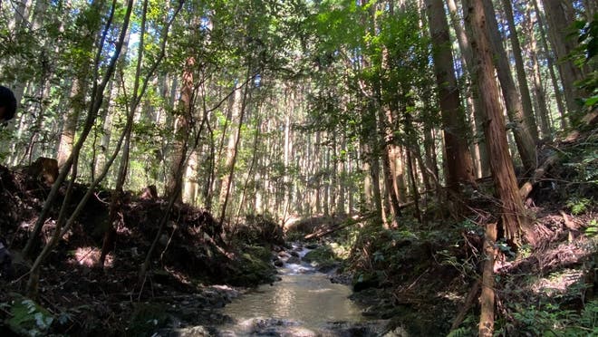 名古屋から1時間 《森の中のレンタルスペース》 の写真3