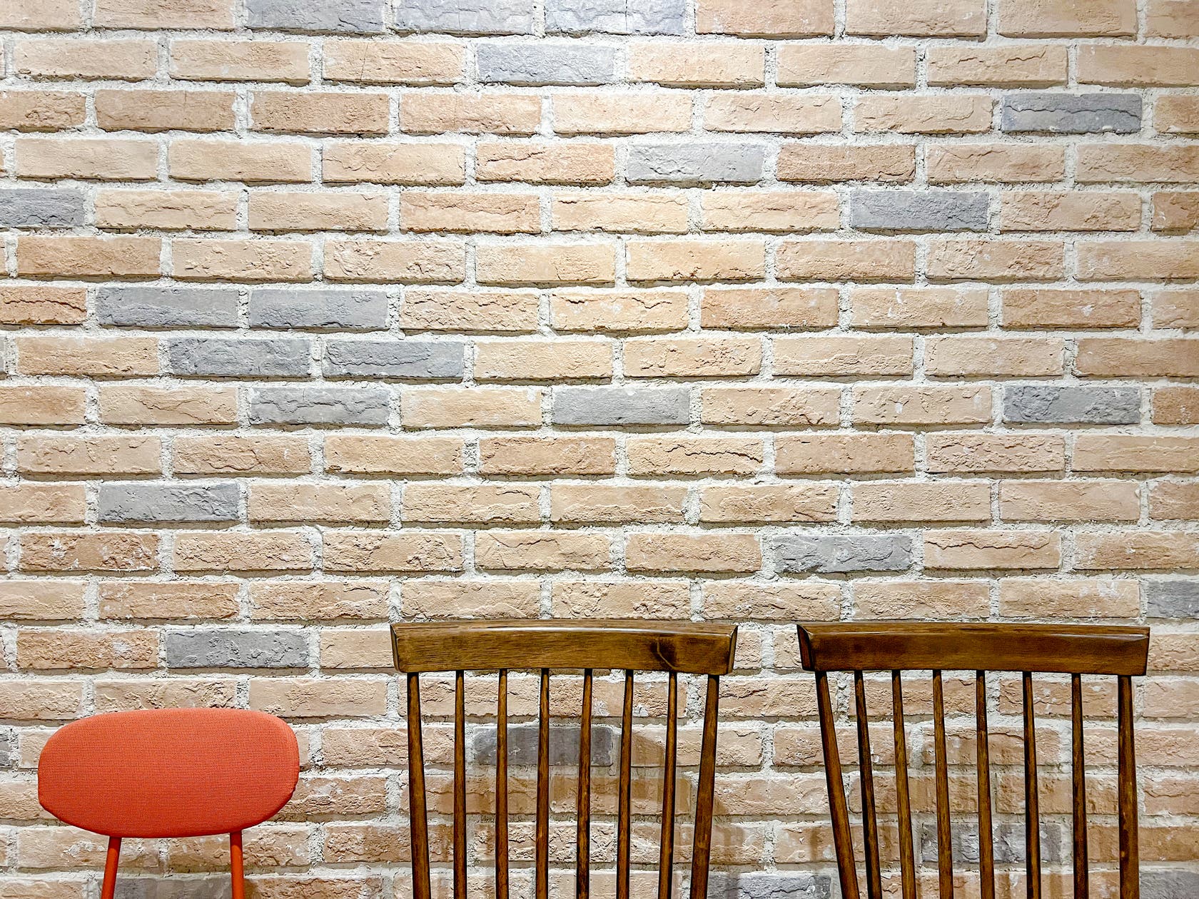 【2024ベストホスト運営】🍁リニューアル🍁 超巨大ドライフラワー｜砂浜｜自然光｜ペット撮影可｜機材無料の写真10