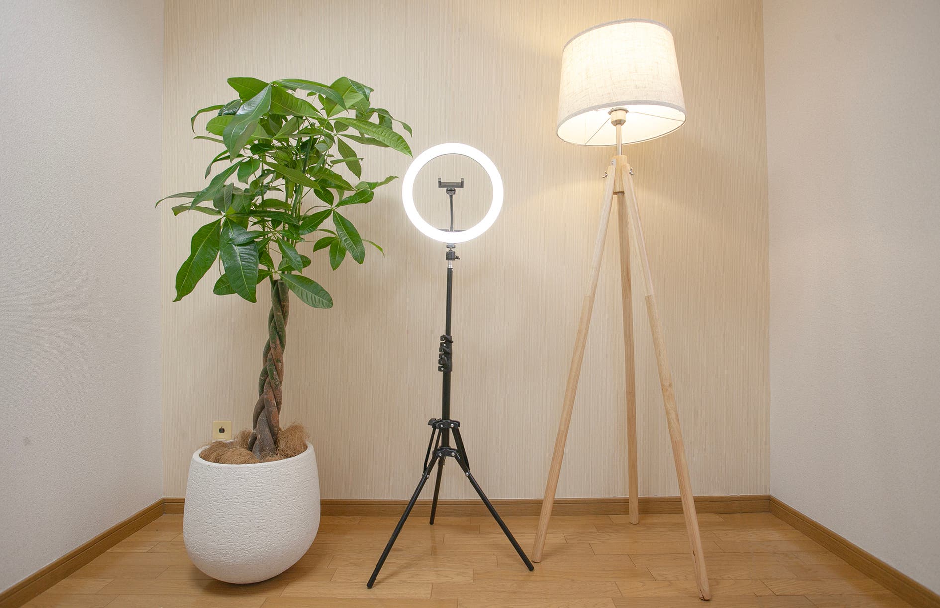 【NEW OPEN】表参道駅徒歩6分！エステ、マッサージ、パーソナルカラー診断、ネイル、ヨガ、カウンセリングなど用途様々の写真12