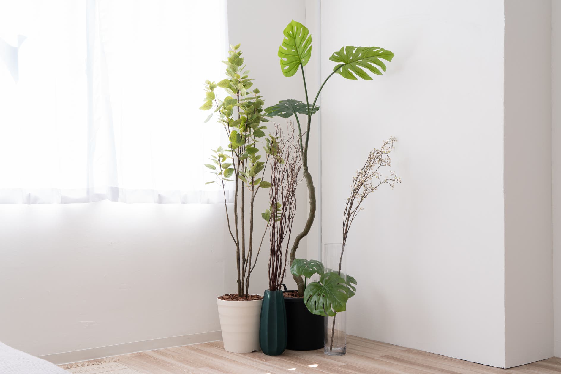 スペモ📷クリスマス🎄都島駅2分❗️116㎡✨スタジオ撮影🤩ポートレート⭐コスプレ👗565_S-Studio大阪都島の写真28