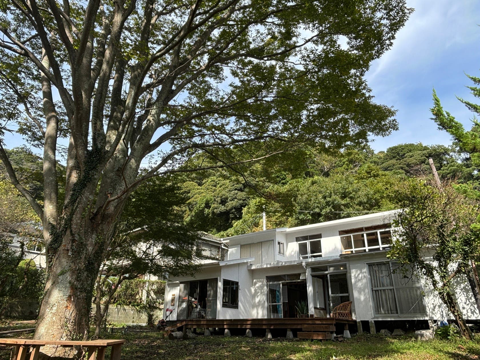 駐車場1台/逗子駅徒歩9分/slowな時間を過ごす昭和レトロな和室貸切の写真5