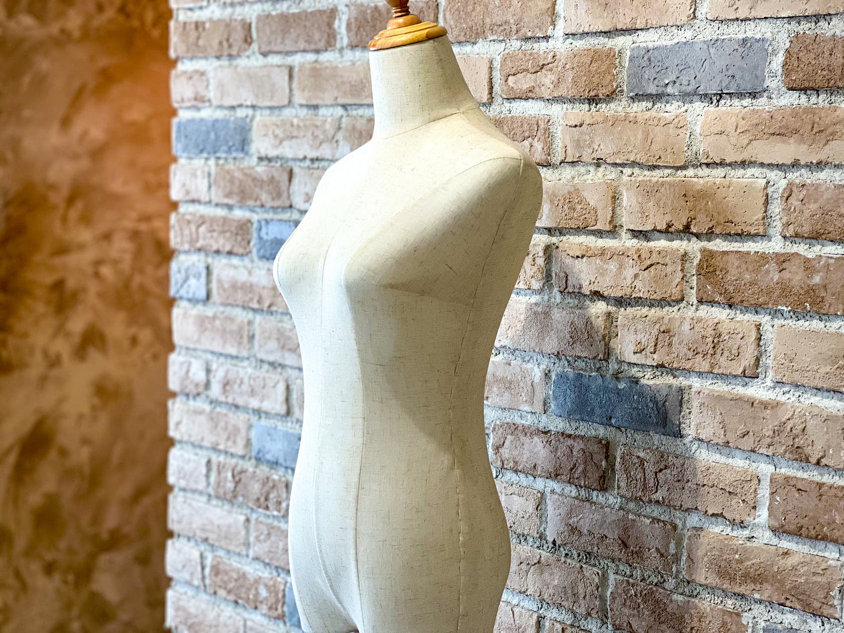 【2024ベストホスト運営】🍁リニューアル🍁 超巨大ドライフラワー｜砂浜｜自然光｜ペット撮影可｜機材無料の写真15