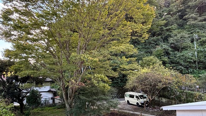 駐車場1台/逗子駅徒歩9分/slowな時間を過ごす昭和レトロな和室貸切の写真6