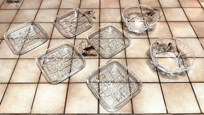 戸建ての1Fで広々空間✨まったり時間を過ごすのにピッタリ😆1F号室の写真13