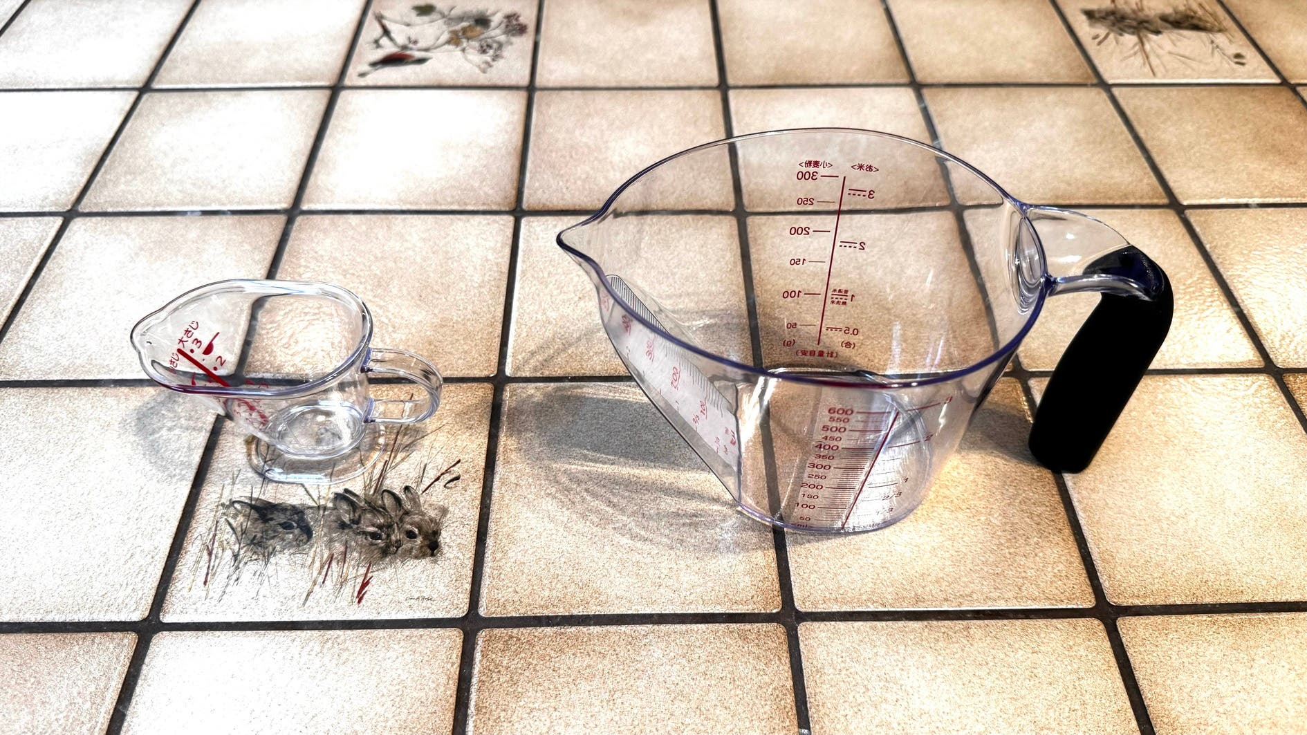 戸建ての１Fで広々空間✨まったり時間を過ごすのにピッタリ😆１F号室の写真23