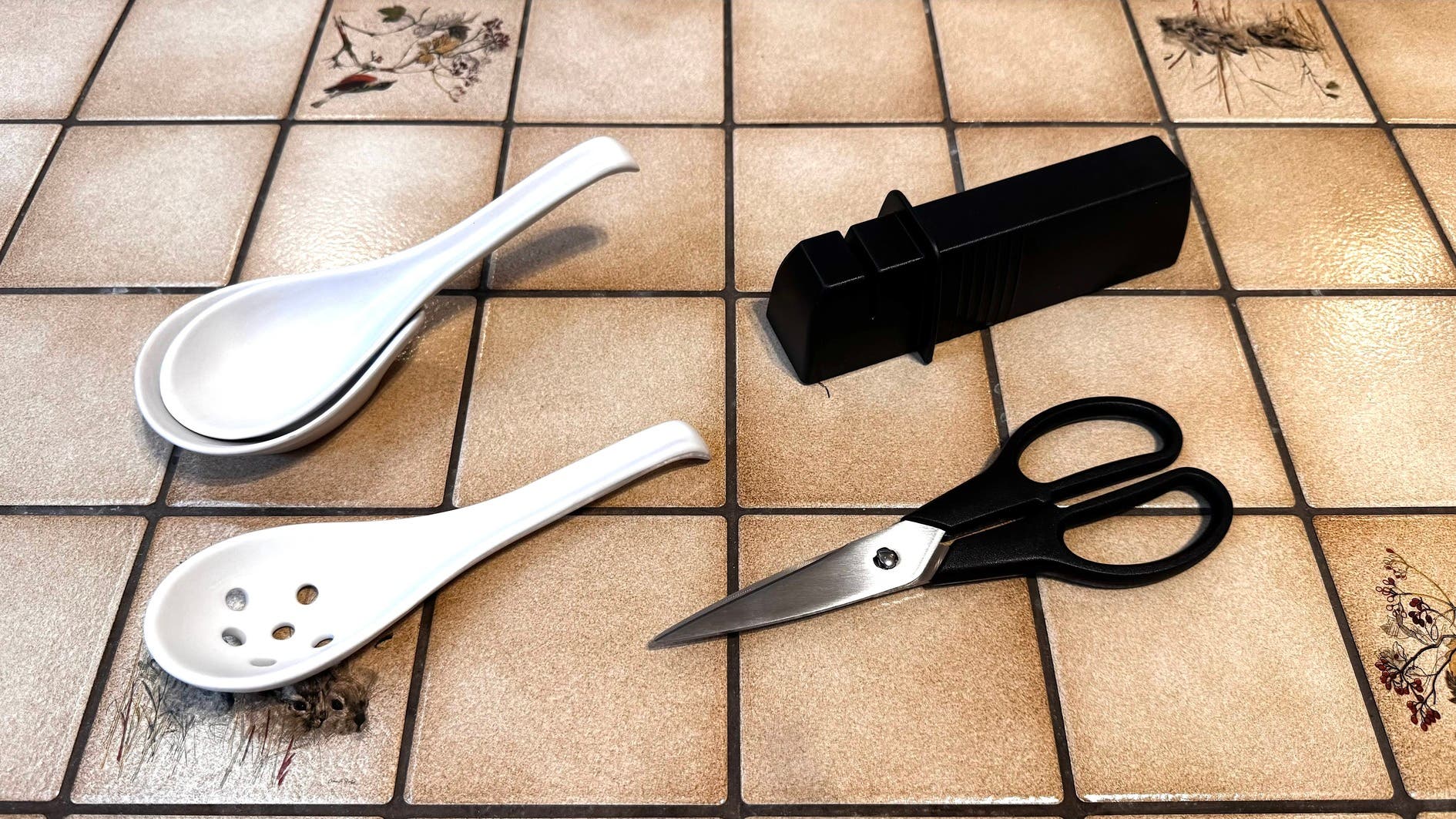 戸建ての１Fで広々空間✨まったり時間を過ごすのにピッタリ😆１F号室の写真28