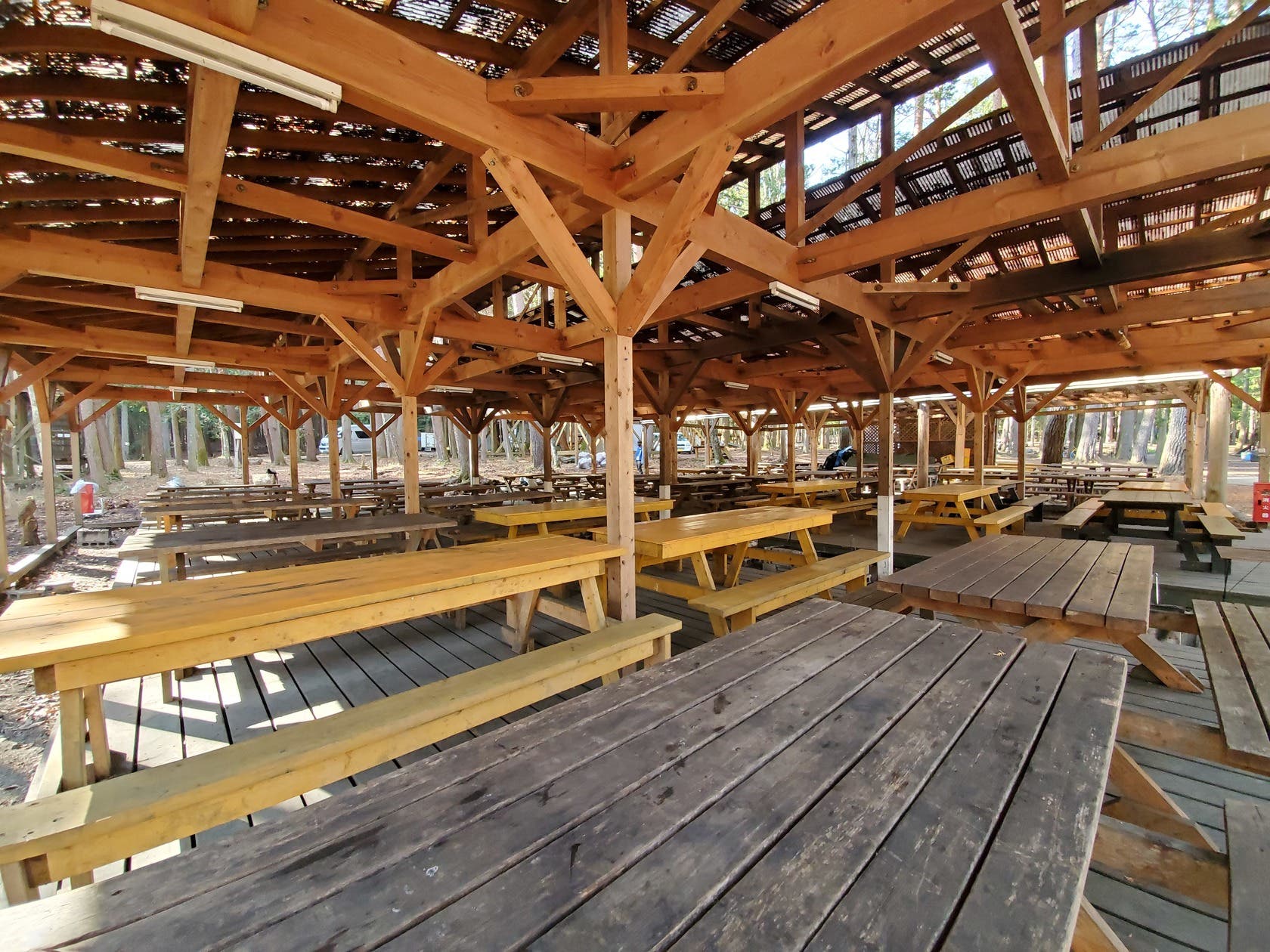 冬季限定！約1万4000坪の敷地を貸し切りに！？の写真2