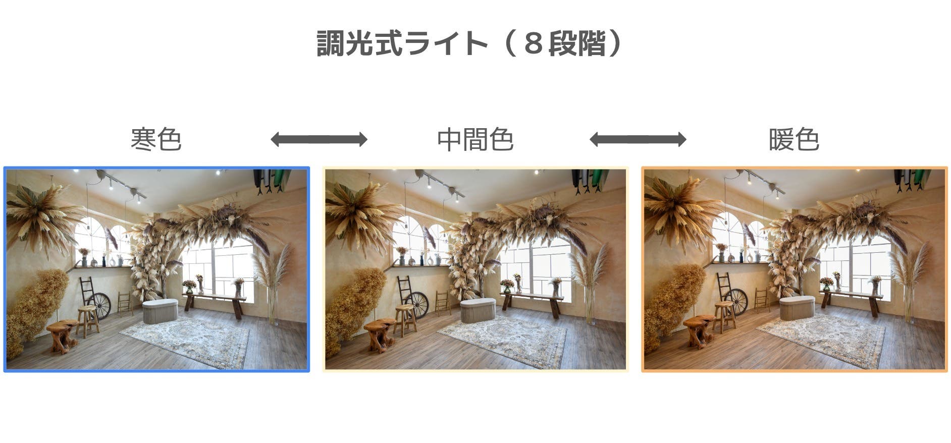 【2024ベストホスト運営】🍁リニューアル🍁 超巨大ドライフラワー｜砂浜｜自然光｜ペット撮影可｜機材無料の写真30