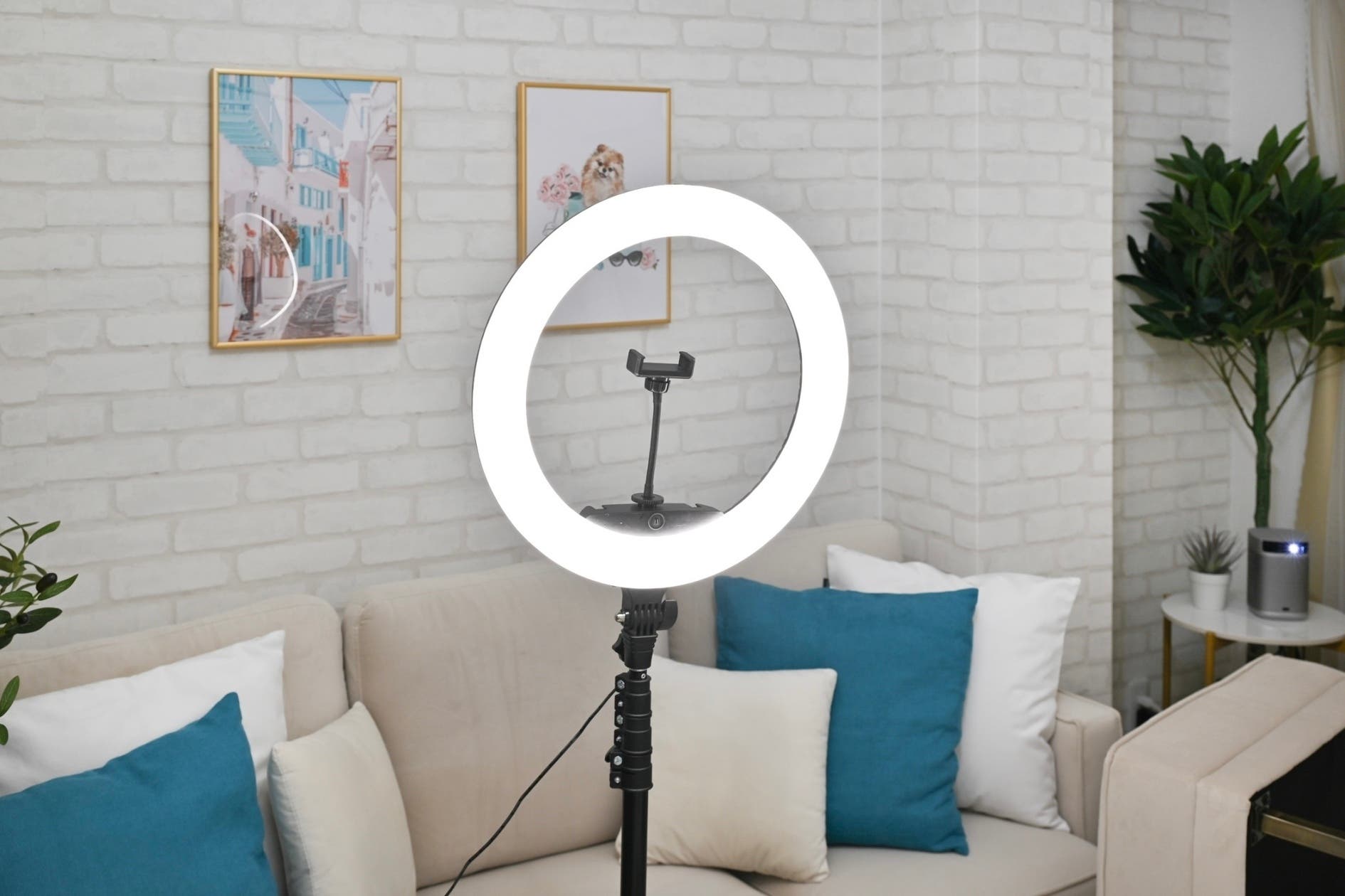 ✨💕特別なデート/女子会に大人気💕✨ 防犯カメラ🙅‍♀️お子さまグッズ完備👦👧ティファニーブルーと白🤍大迫力の100㌅🎥💕の写真30