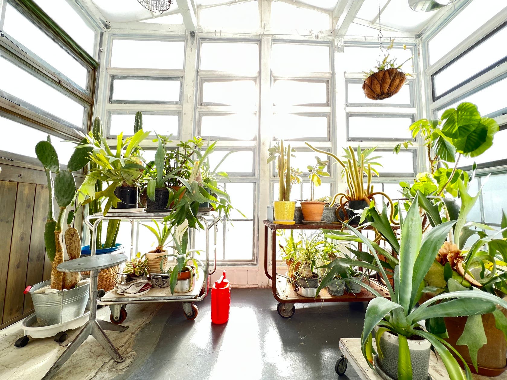 【大田区】撮影会に最適！多彩な背景パターンのある撮影スタジオの写真12