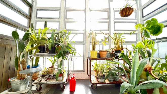 【大田区】撮影会に最適!多彩な背景パターンのある撮影スタジオの写真12