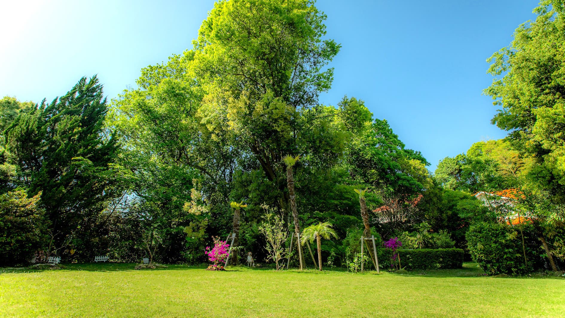 天然芝や竹林が魅力のスタジオです。の写真3