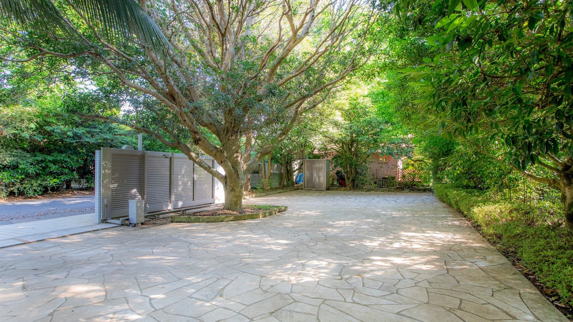 天然芝や竹林が魅力のスタジオです。の写真14