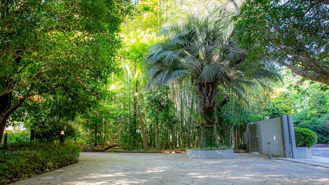 天然芝や竹林が魅力のスタジオです。の写真16