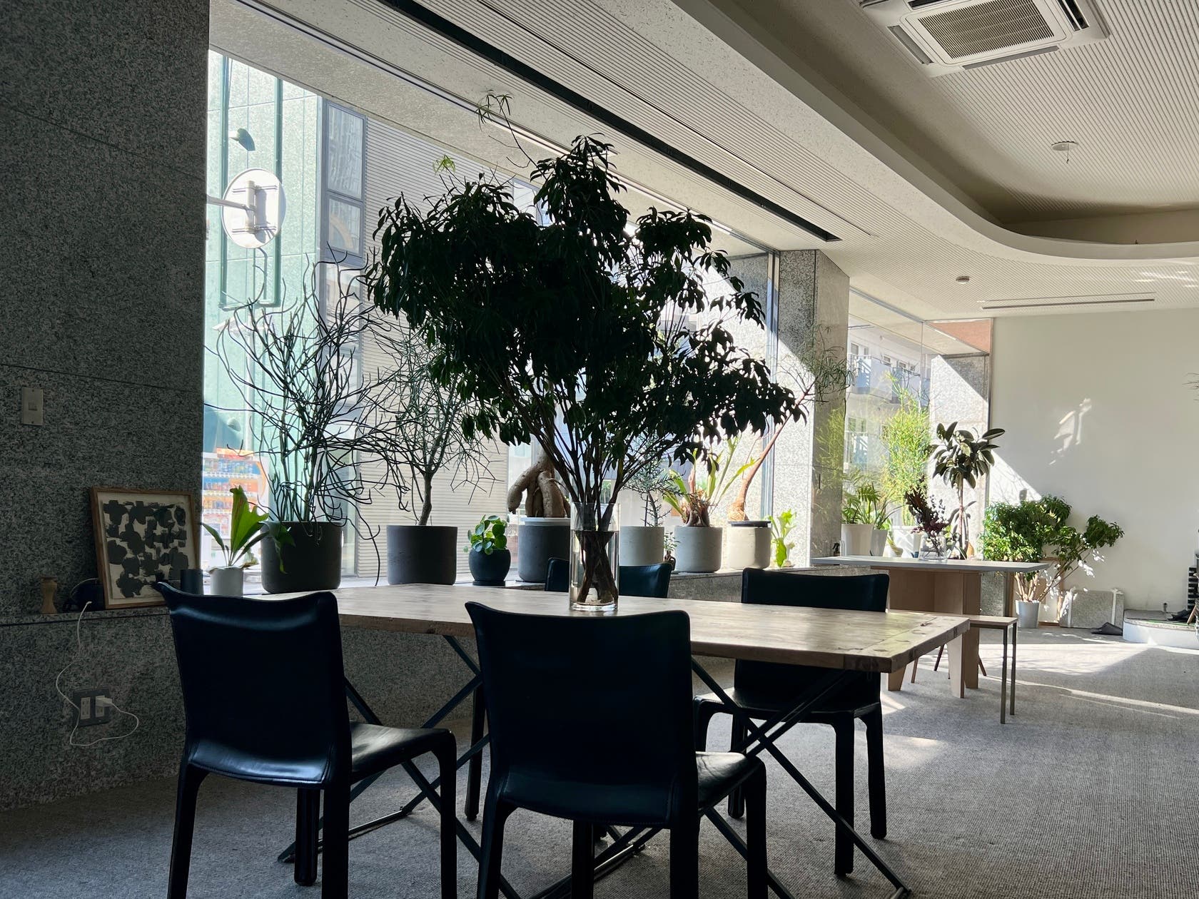 ✨NEW OPEN✨天神駅徒歩5分！自然光あふれる上質な空間！展示会、ポップアップ、個展、撮影に最適なイベントスペース_50㎡の写真5