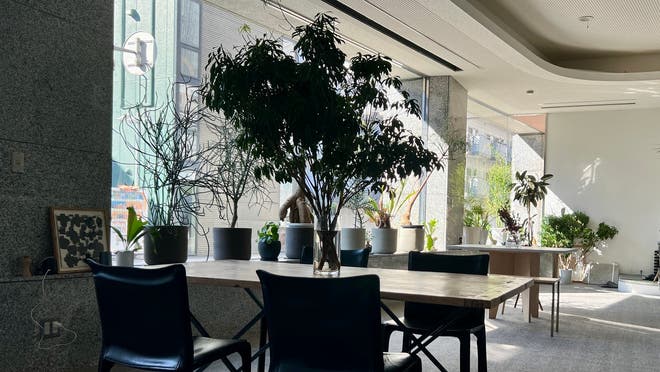 ✨NEW OPEN✨天神駅徒歩5分!自然光あふれる上質な空間!展示会、ポップアップ、個展、撮影に最適なイベントスペース_50㎡の写真5