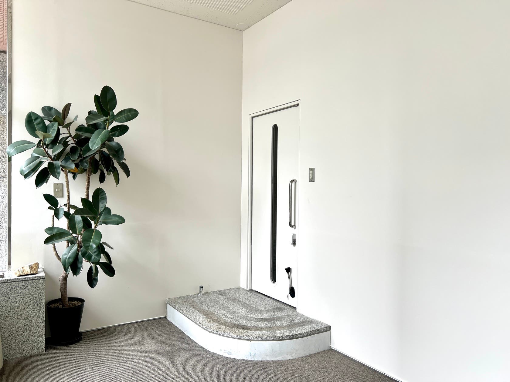 ✨NEW OPEN✨天神駅徒歩5分！自然光あふれる上質な空間！展示会、ポップアップ、個展、撮影に最適なイベントスペース_50㎡の写真10