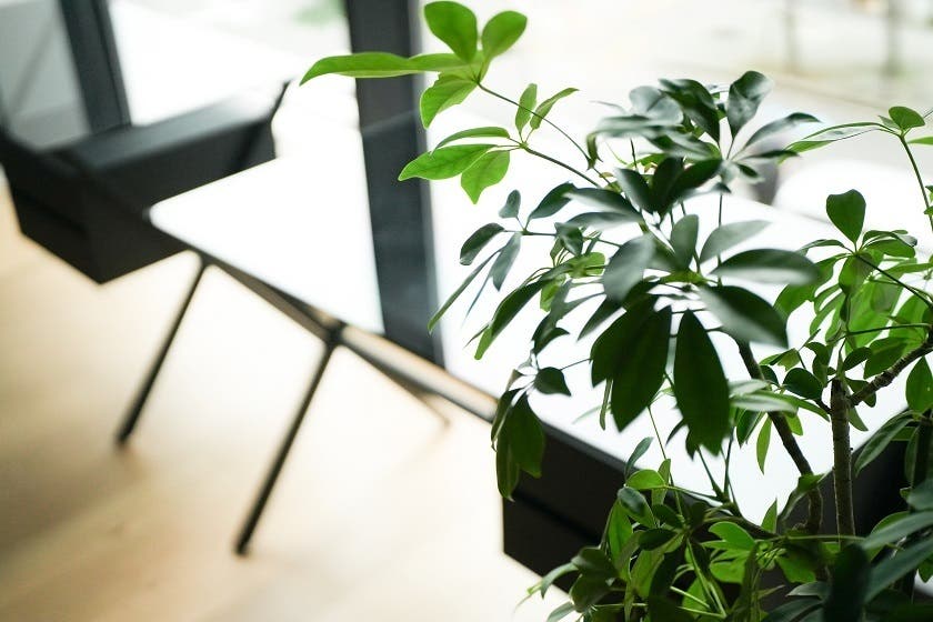 【バウムハウス　Office5】落ち着いたインテリア付個室でポートレートや動画・商品撮影に！会議・商談 にも！の写真5