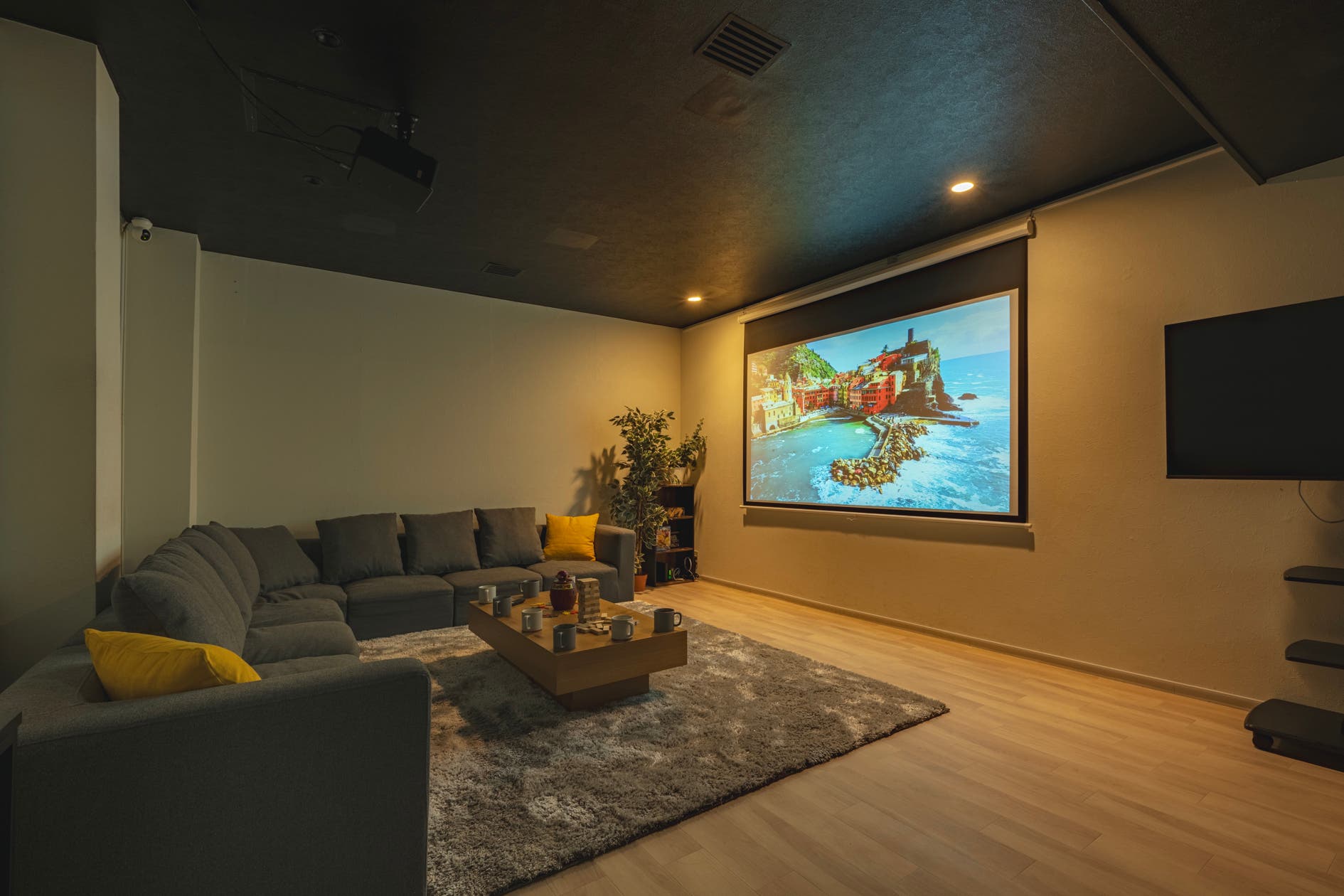 スペモ🎈クリスマス🎄映画鑑賞🎥プロジェクター🎞飲み会🍻打ち上げ🎉パーティー🎊デート❣️590_ARKスペース大久保の写真12