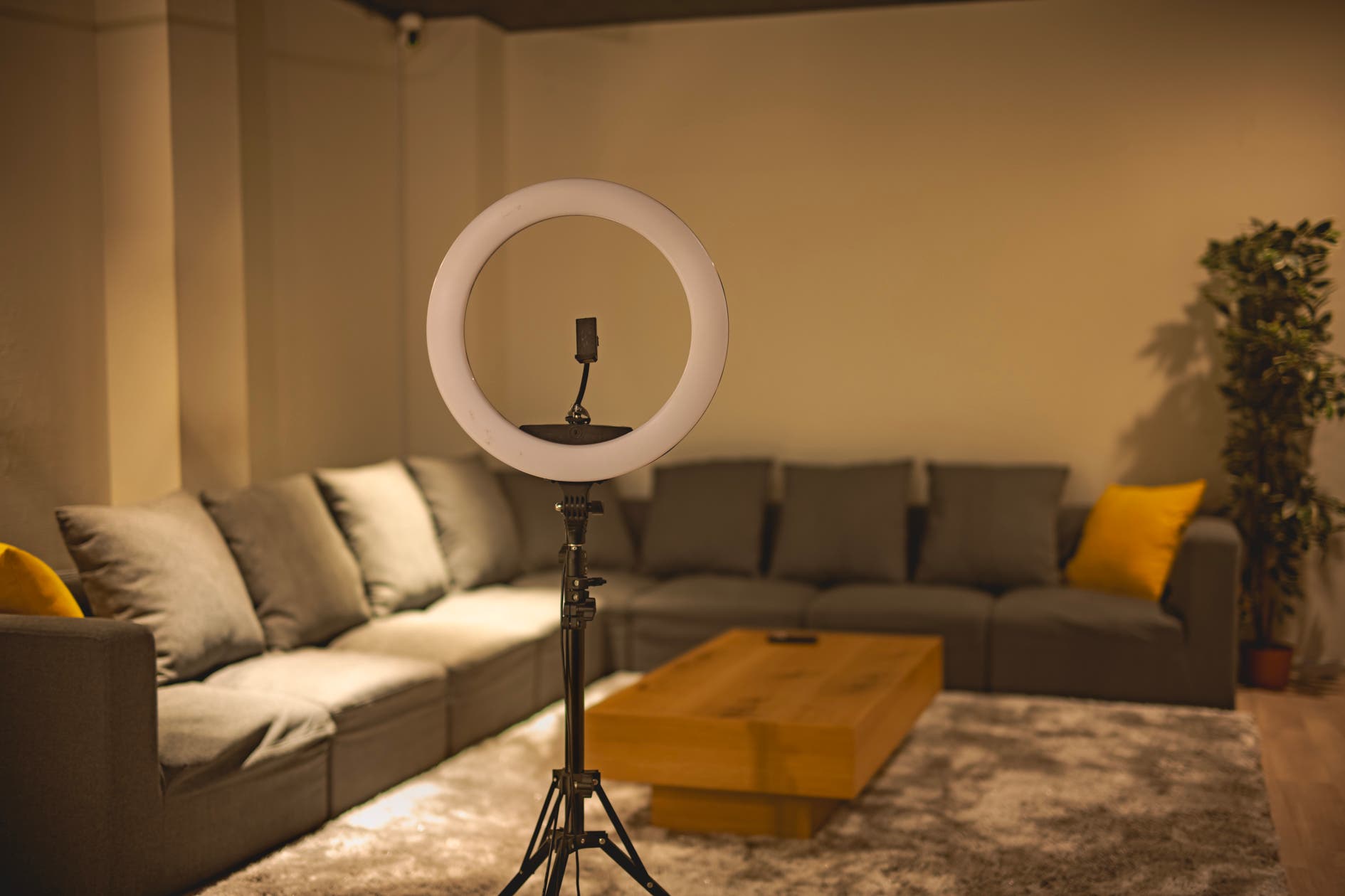 スペモ🎈クリスマス🎄映画鑑賞🎥プロジェクター🎞飲み会🍻打ち上げ🎉パーティー🎊デート❣️590_ARKスペース大久保の写真27