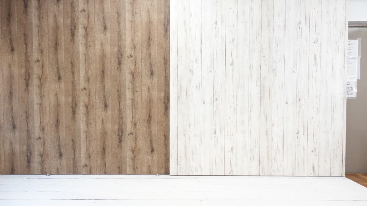 【恵比寿5分】２面採光｜白壁＋フラワーウォール｜撮影機材・背景紙無料【アパレル｜ポートレート】の写真7