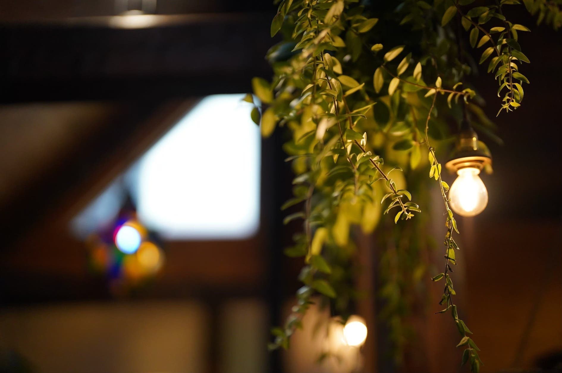 ≪福生駅 / 駐車場あり≫ 店主こだわりのアンティーク家具に囲まれた異空間 ▪️2024.11 startの写真12