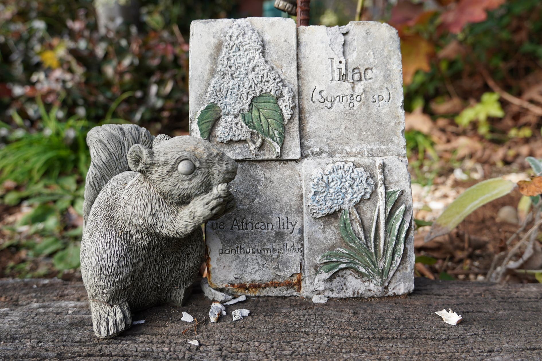 ≪福生駅 / 駐車場あり≫ 店主こだわりのアンティーク家具に囲まれた異空間 ▪️2024.11 startの写真19