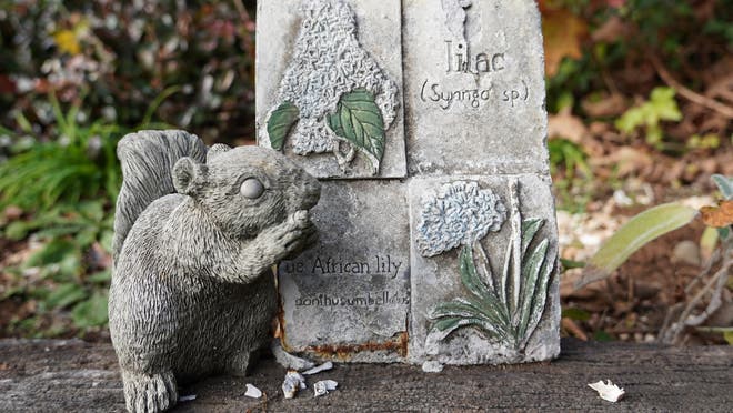 ≪福生駅 / 駐車場あり≫ 店主こだわりのアンティーク家具に囲まれた異空間 ▪️2024.11 startの写真19