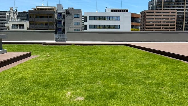 豊洲にNEWOPEN!生芝があって開放的な屋上スペースです!の写真3