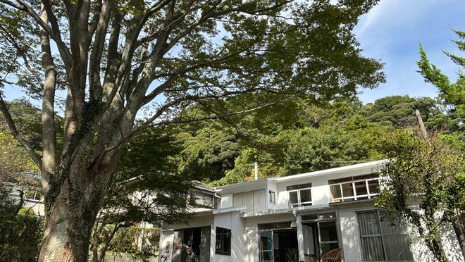 駐車場1台/逗子駅徒歩9分/前日予約可♪シンボルツリーを囲むベンチがある167坪の庭の写真2