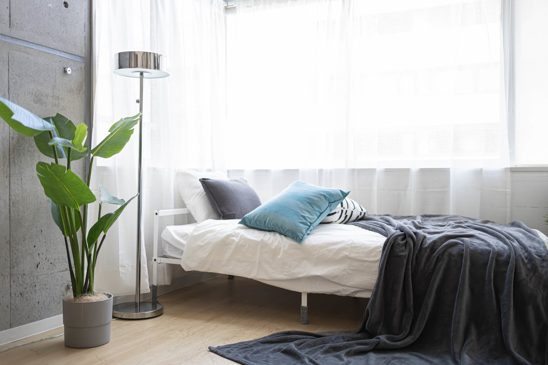 撮影向けベットセットの画像1