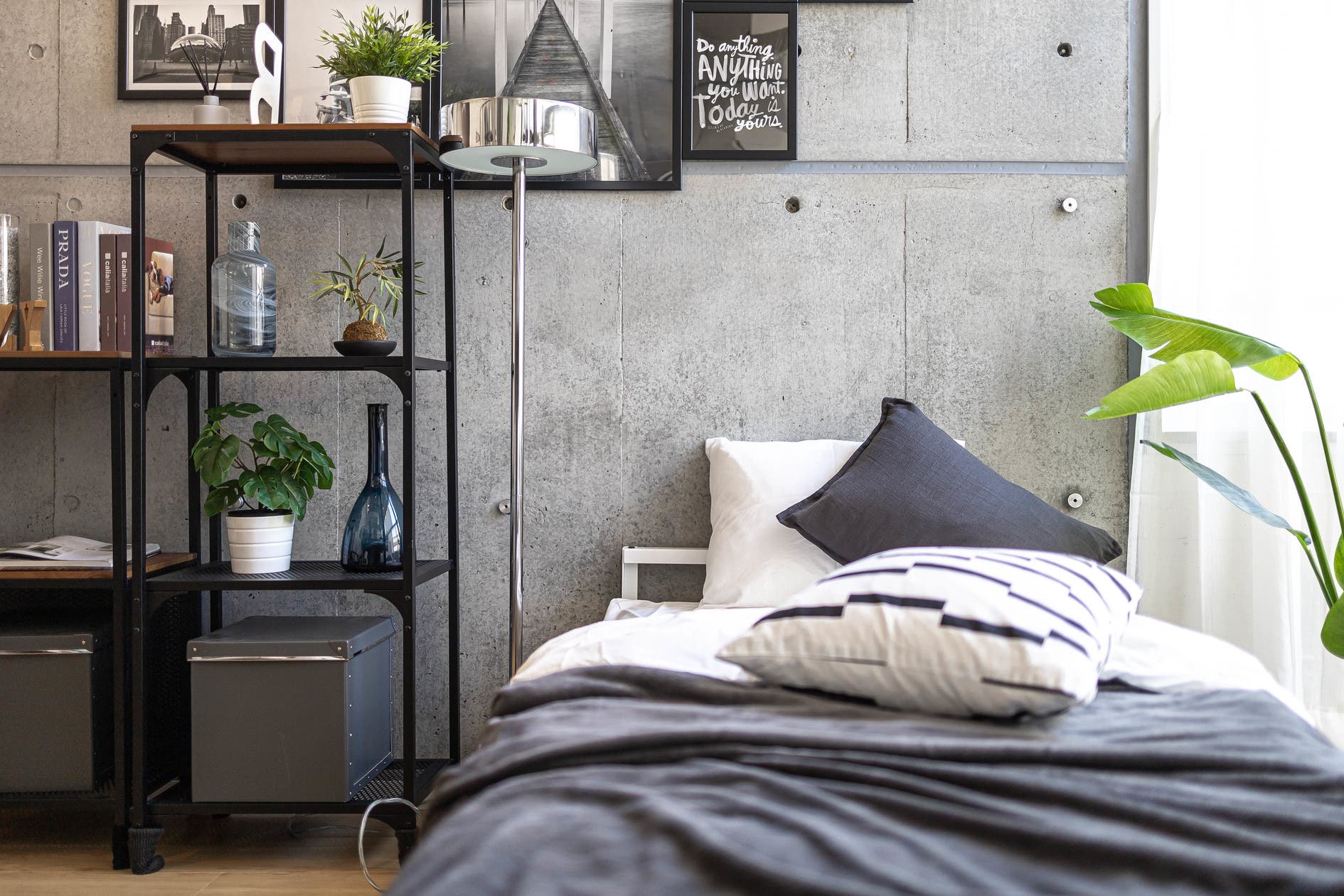 撮影向けベットセットの画像2