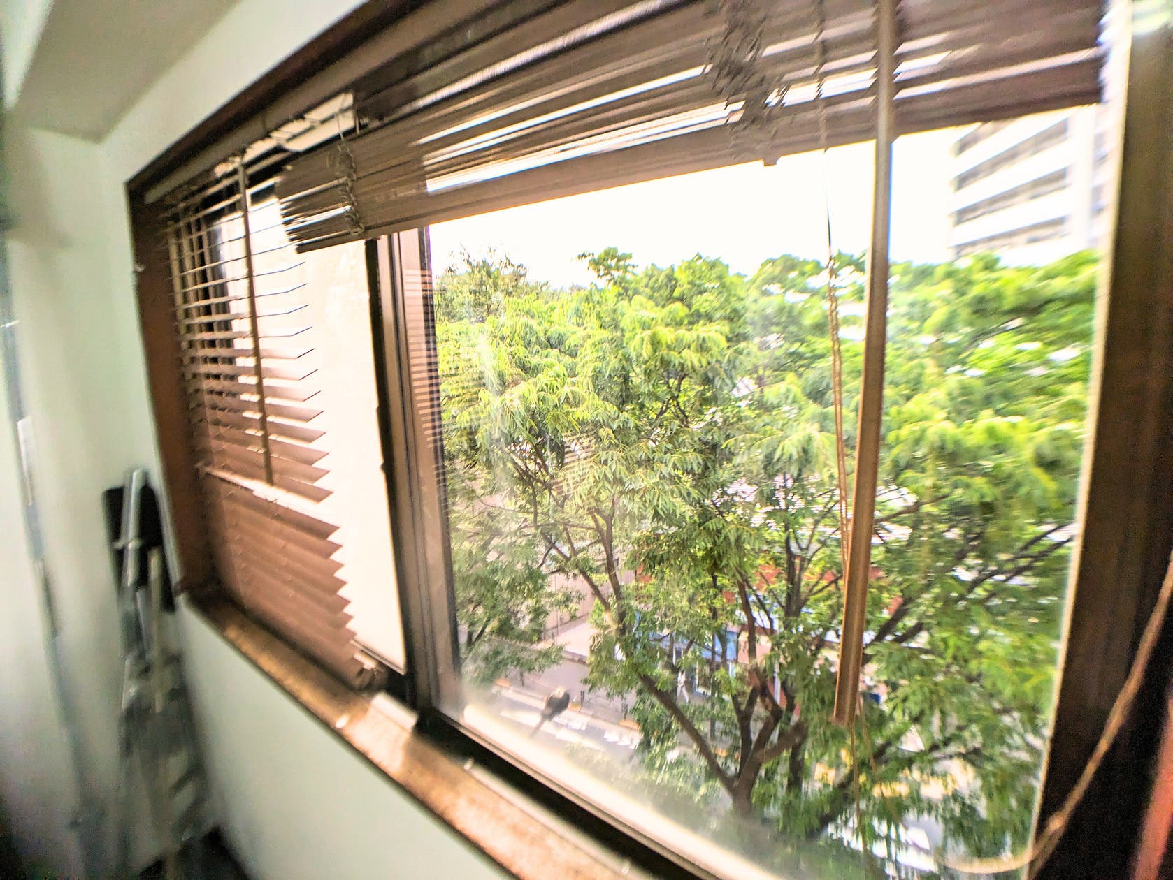 【千歳烏山駅徒歩6分】完全個室、スミスマシン、ケーブル、固定ダンベル1～30㎏、３名様までご利用可能！の写真9