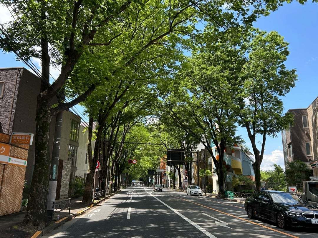 【千歳烏山駅徒歩6分】完全個室、スミスマシン、ケーブル、固定ダンベル1～30㎏、３名様までご利用可能！の写真10