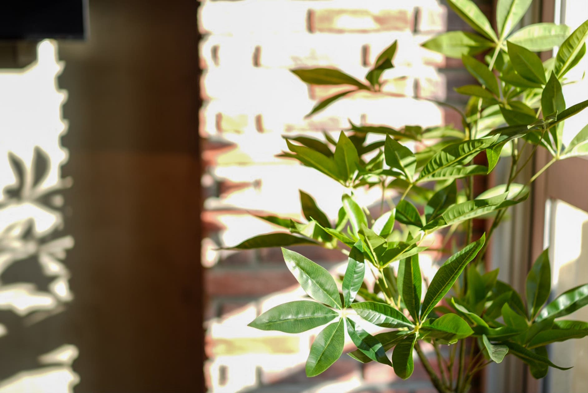 リノスペキッチン東新宿🍳クリスマス🎄忘年会・デート・料理・ホームパーティ・飲み会・打ちあげ・歓迎会・撮影収録・ビジネスの写真12