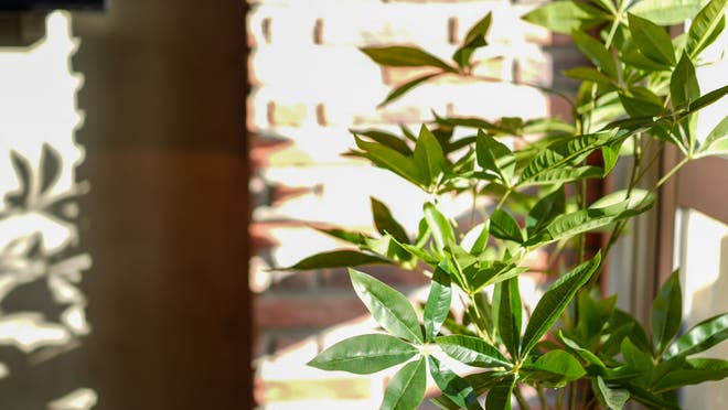 リノスペキッチン東新宿🍳クリスマス🎄忘年会・デート・料理・ホームパーティ・飲み会・打ちあげ・歓迎会・撮影収録・ビジネスの写真12