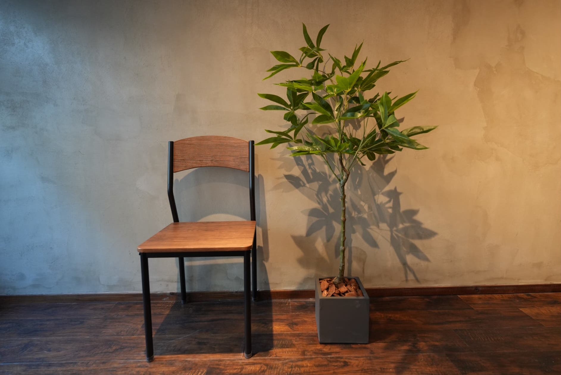 リノスペキッチン東新宿🍳クリスマス🎄忘年会・デート・料理・ホームパーティ・飲み会・打ちあげ・歓迎会・撮影収録・ビジネスの写真15