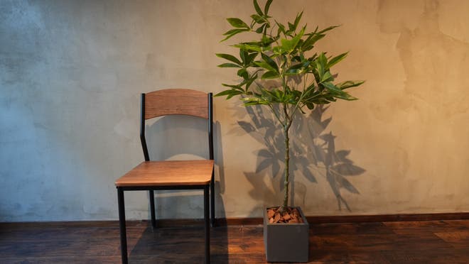 リノスペキッチン東新宿🍳クリスマス🎄忘年会・デート・料理・ホームパーティ・飲み会・打ちあげ・歓迎会・撮影収録・ビジネスの写真15