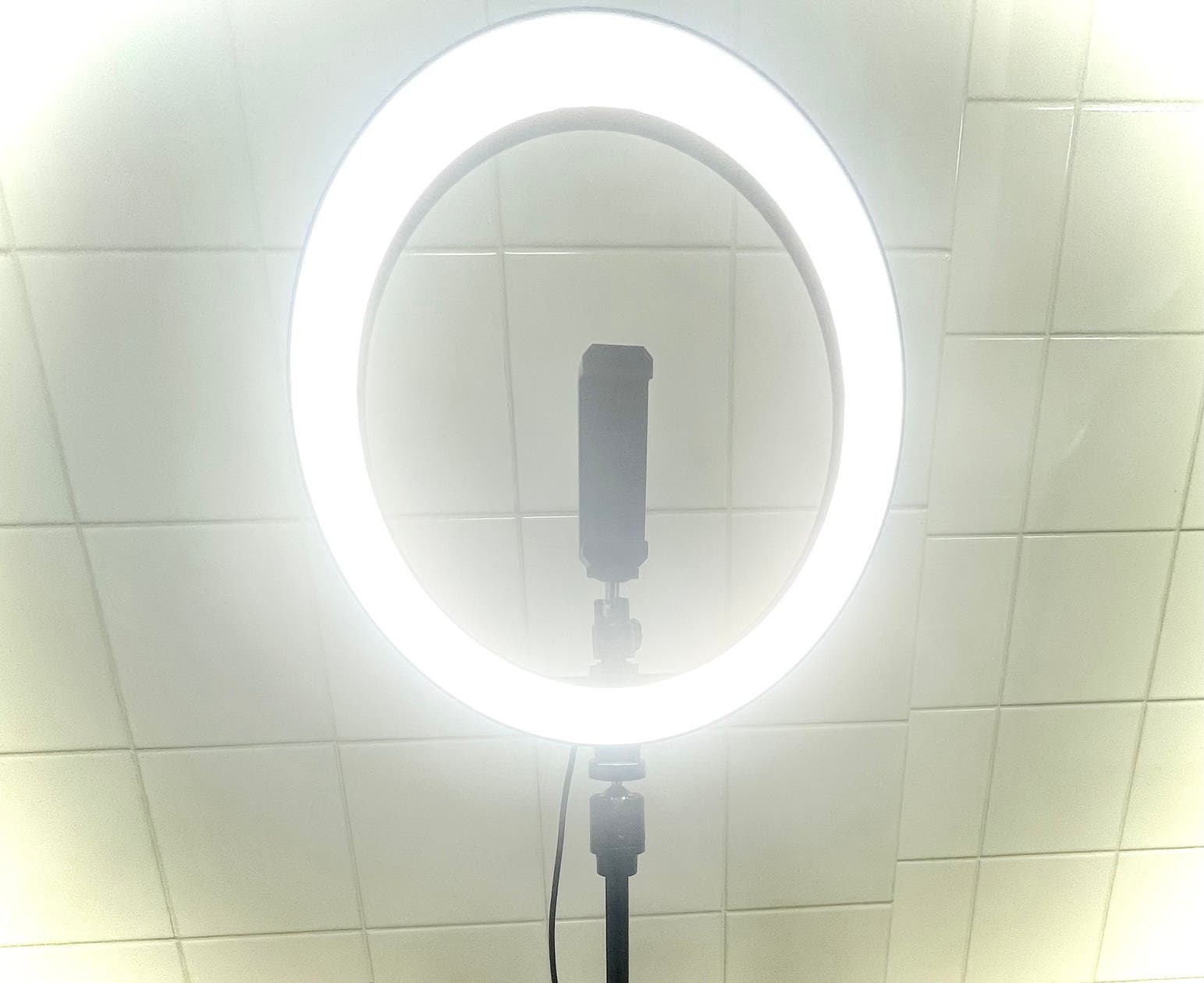 西新宿駅徒歩3分　新宿駅徒歩12分　スタジオ　新大久保　中野坂上　撮影　自然光　展示会　個展　ポートレートの写真11