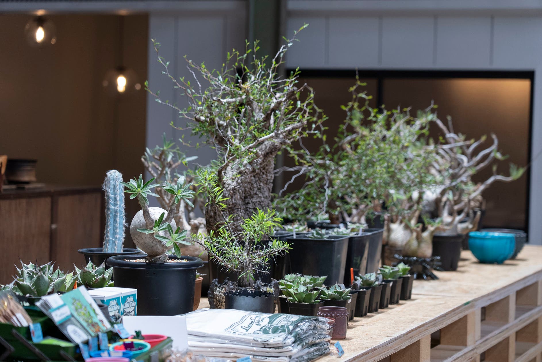 衣・食・住を楽しみながらSDGs体験できる複合施設のレンタル 【北加賀屋駅　徒歩9分】の写真6