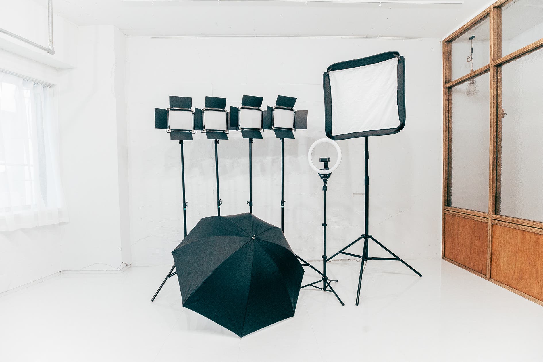 クリスマス🎄巨大なシンボルツリーと自然光、緑豊かな植物が映えるレンタル撮影スタジオの写真14