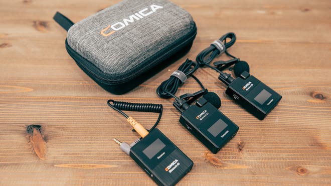 クリスマス🎄巨大なシンボルツリーと自然光、緑豊かな植物が映えるレンタル撮影スタジオの写真20