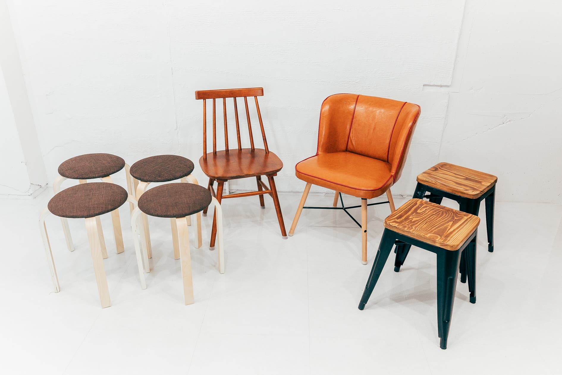 クリスマス🎄巨大なシンボルツリーと自然光、緑豊かな植物が映えるレンタル撮影スタジオの写真21