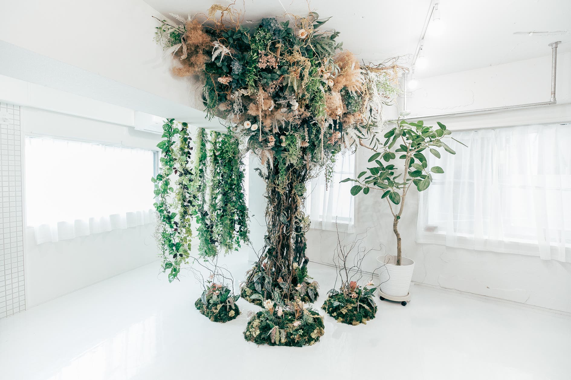 クリスマス🎄巨大なシンボルツリーと自然光、緑豊かな植物が映えるレンタル撮影スタジオの写真10