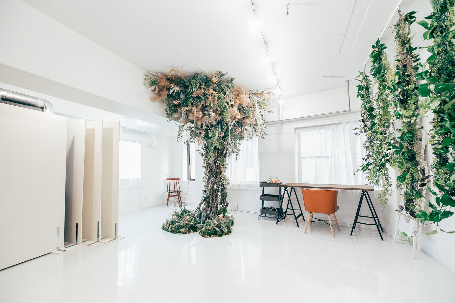 クリスマス🎄巨大なシンボルツリーと自然光、緑豊かな植物が映えるレンタル撮影スタジオの写真26