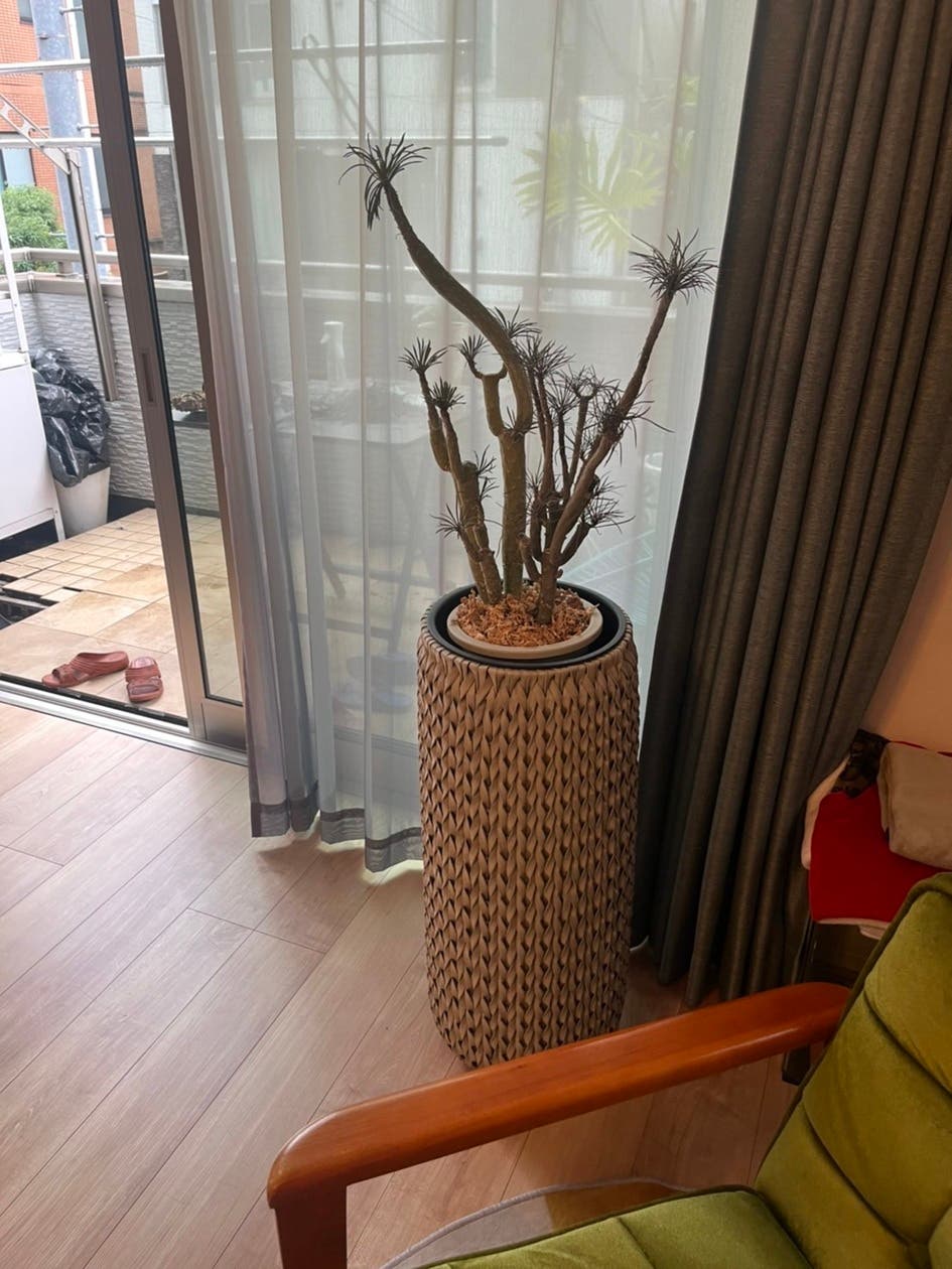 【大人気の戸建てハウススタジオ】商業撮影実績多数あり／ロケハン無料／12月ご予約受付中／リピーター様歓迎の写真29