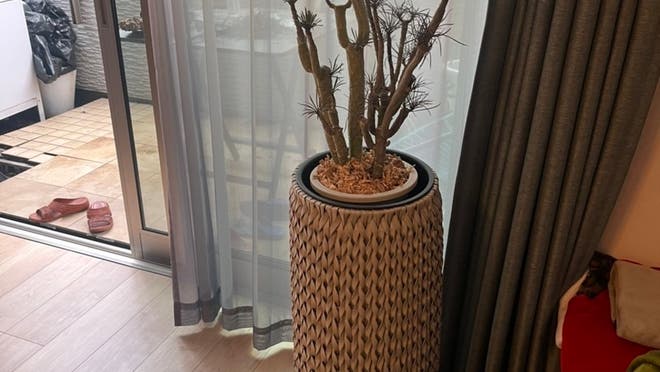 【大人気の戸建てハウススタジオ】商業撮影実績多数あり/ロケハン無料/12月ご予約受付中/リピーター様歓迎の写真29