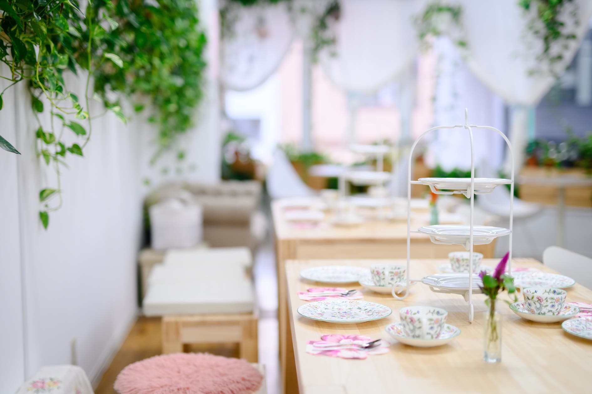 たくさんのお花と緑に囲まれた幻想的なフラワーカフェ　自然光あり、ポートレート撮影・動画撮影、女子会イベントも可能の写真9