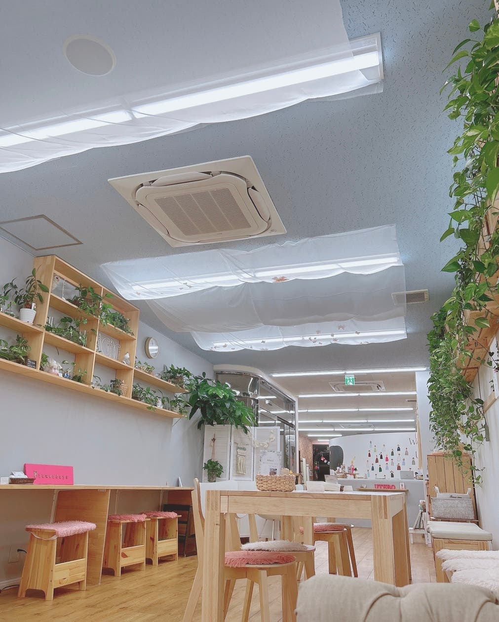 たくさんのお花と緑に囲まれた幻想的なフラワーカフェ　自然光あり、ポートレート撮影・動画撮影、女子会イベントも可能の写真13